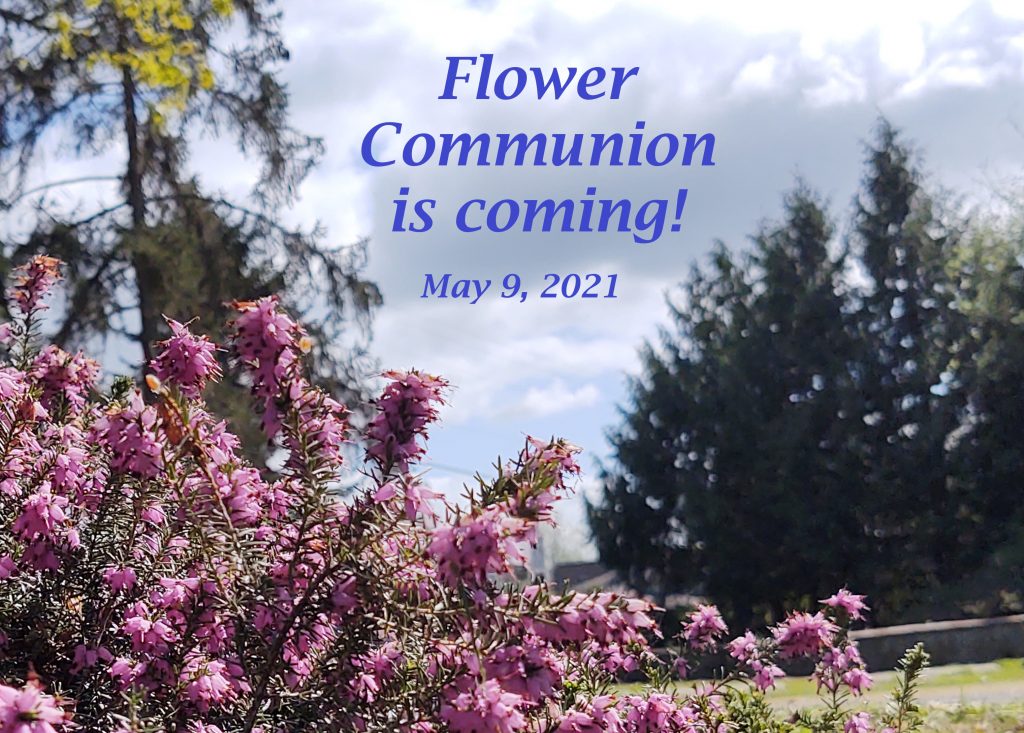 Saltwater Church Newsletter April 23, 2021 - Saltwater Unitarian ...